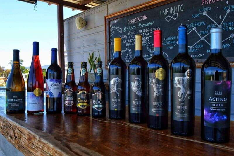 From Ensenada: Ojos Negros Valley Cheese & Wine Tasting Tour - The Experience and Its Value