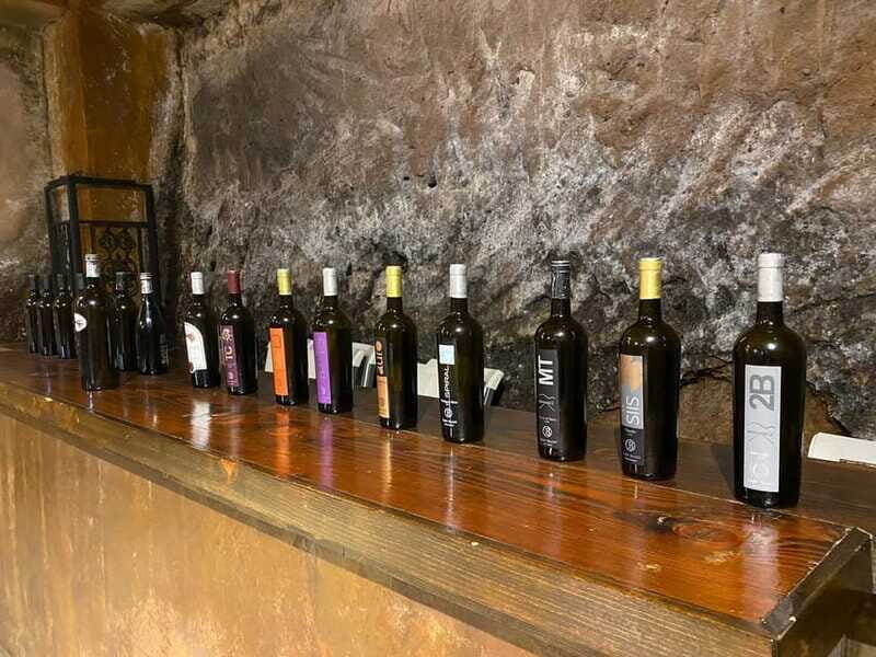 From Ensenada: Wine Tour at Guadalupe Valley Ensenada - Final Thoughts