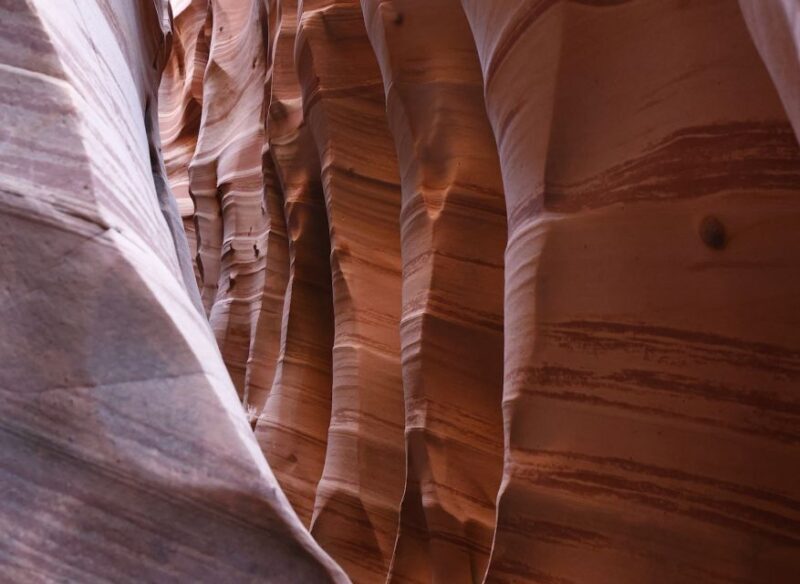 From Escalante: Zebra Slot Canyon Guided Tour and Hike - Analyzing the Cost and Experience Value