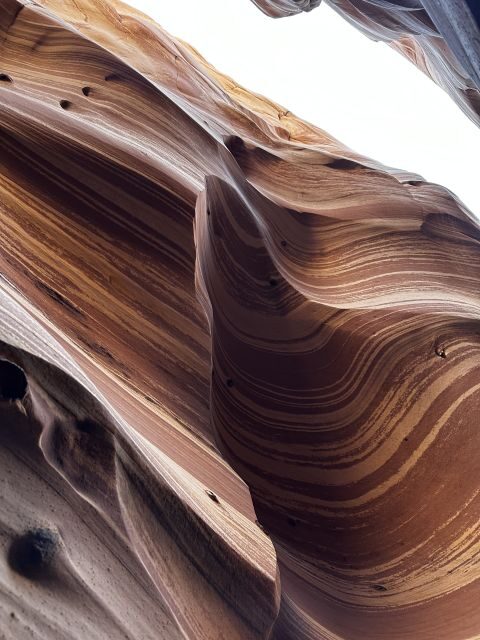 From Escalante: Zebra Slot Canyon Guided Tour and Hike - Detailed Breakdown of the Experience