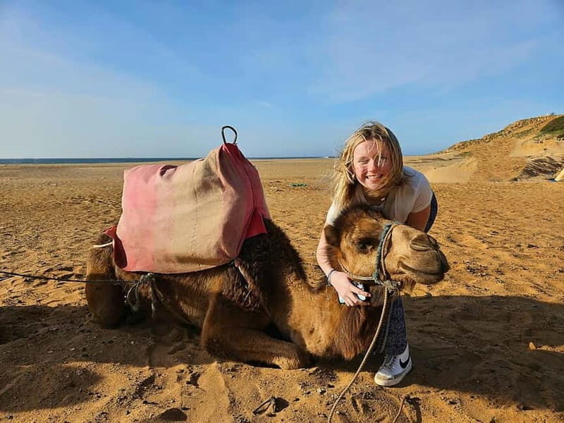 From Estepona: Tangier Day Trip with Ferry & Camel & Souk - Who Will Love This Tour?