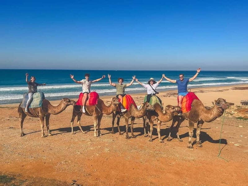 From Estepona: Tangier Day Trip with Ferry & Camel & Souk - Final Thoughts