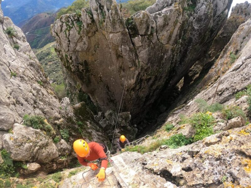 From Estepona: Vía Ferrata de Benalauria climbing tour - The Sum Up