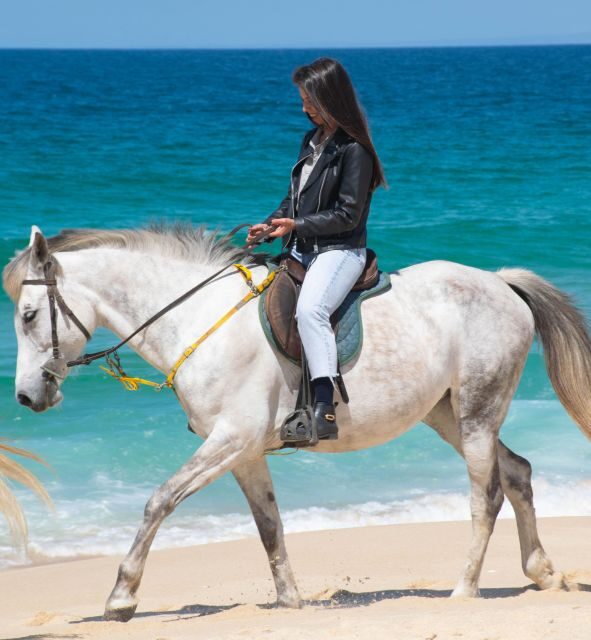 From Evora: Horseback riding on comporta beach - Scenery and Natural Highlights