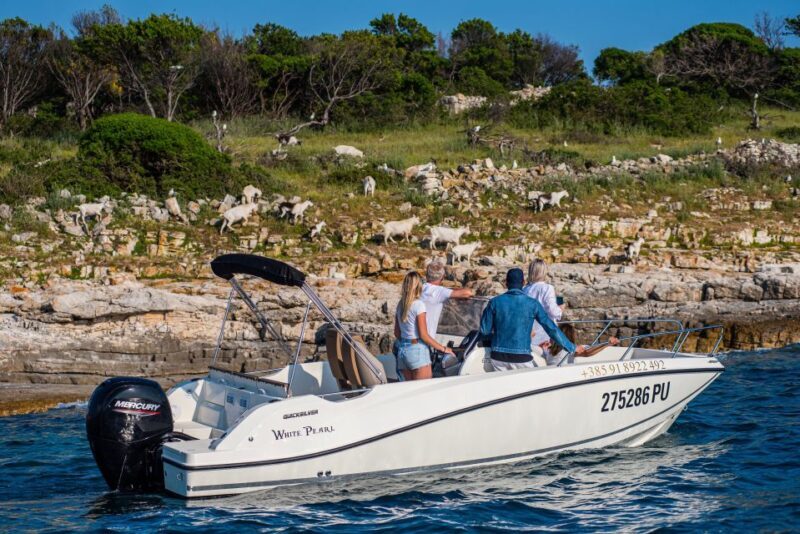 From Faana: Private boat tour of Brijuni Islands - A Deep Dive into the Brijuni Islands Tour