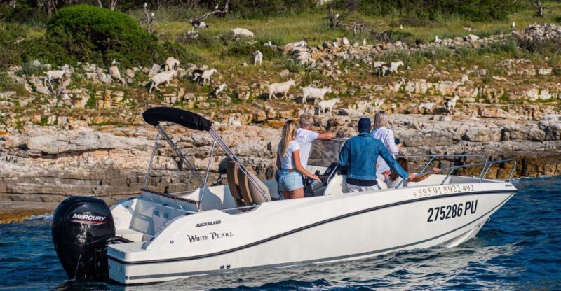 From Faana: Private boat tour of Brijuni Islands - Why This Tour Is a Great Choice