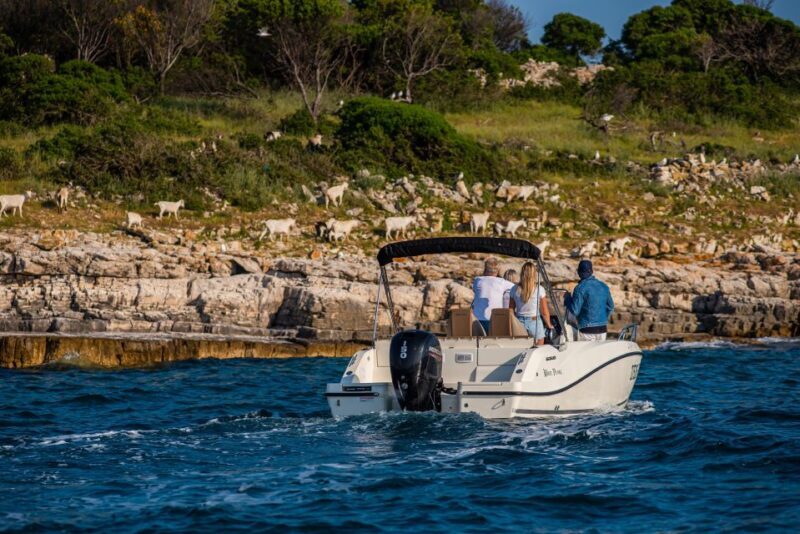 From Faana: Private boat tour of Brijuni Islands - FAQs