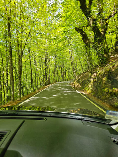 From Fafe: Full-day Tour in Gerês National Park - Introduction: A Taste of Portugal’s Natural and Cultural Heritage