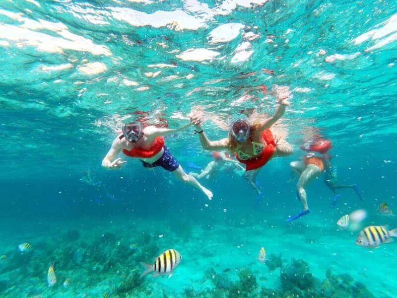 From Falmouth/Ocho Rios: Negril Beach and Catamaran Cruise - Pricing and Value