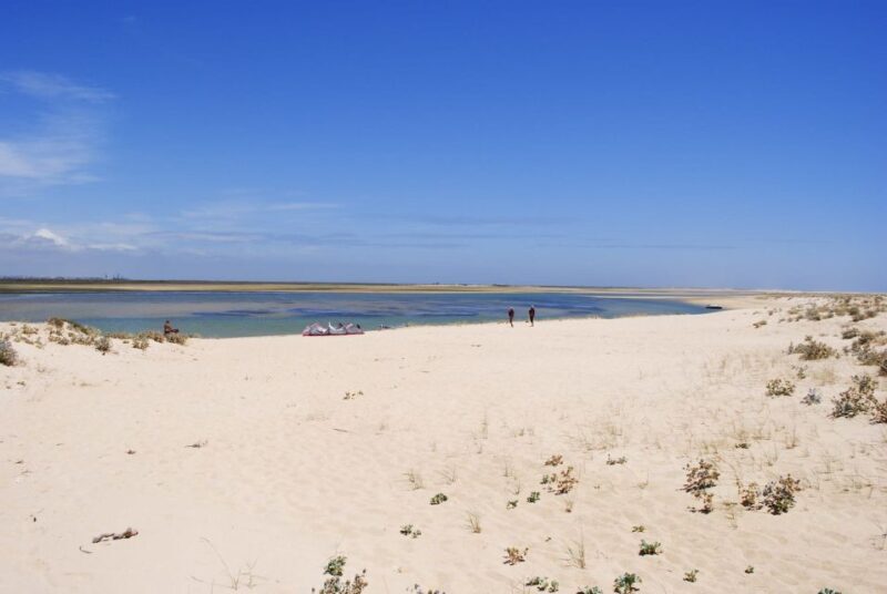 From Faro: 2-Hour Guided Bird Watching Boat Trip - Key Points