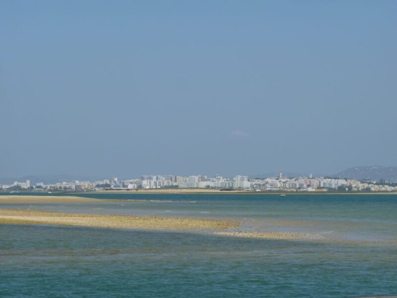 From Faro: 2-Island, 2-Stop Ria Formosa Catamaran Tour - Practical Tips for Travelers