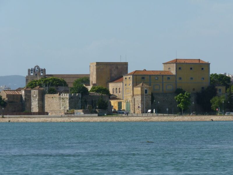 From Faro: 4 Stops, 3 Islands in Ria Formosa Catamaran Tour - An in-Depth Look at the Experience