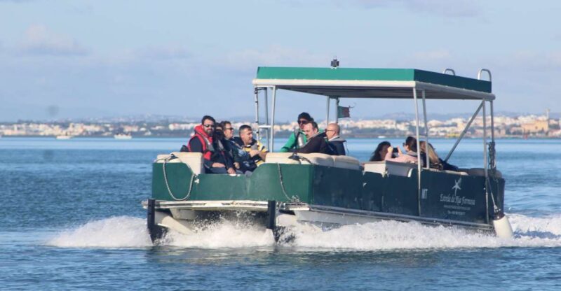 From Faro: 4 Stops, 3 Islands in Ria Formosa Catamaran Tour - Who Will Love This Tour?