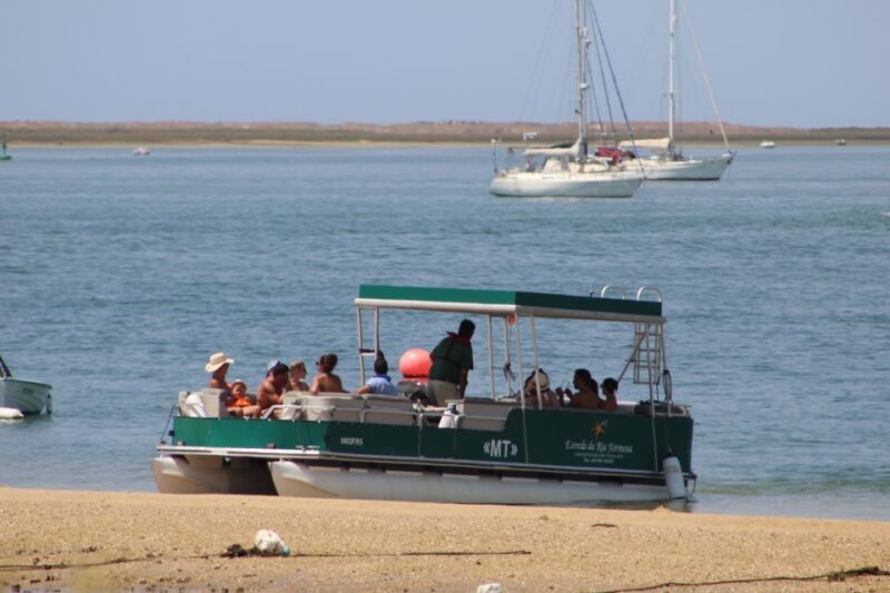 From Faro: 4 Stops, 3 Islands in Ria Formosa Catamaran Tour - Final Thoughts
