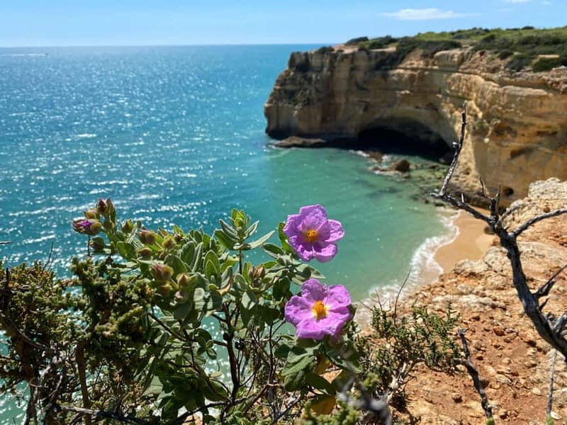 From Faro: Benagil Cave and Seven Hanging Valleys Trail Tour - Starting Point and Transportation