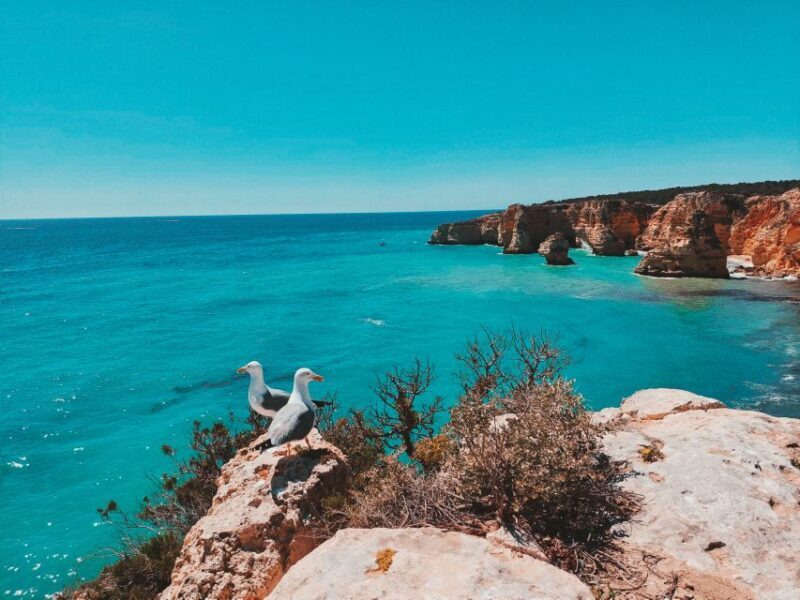 From Faro: Benagil Cave, Marinha, & Carvoeiro Full-Day Tour - Authentic Experiences and the Guides’ Impact