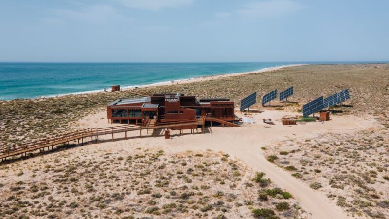 From Faro: Catamaran Boat Trip to Deserta Island with Stop - The Experience’s Pros and Cons