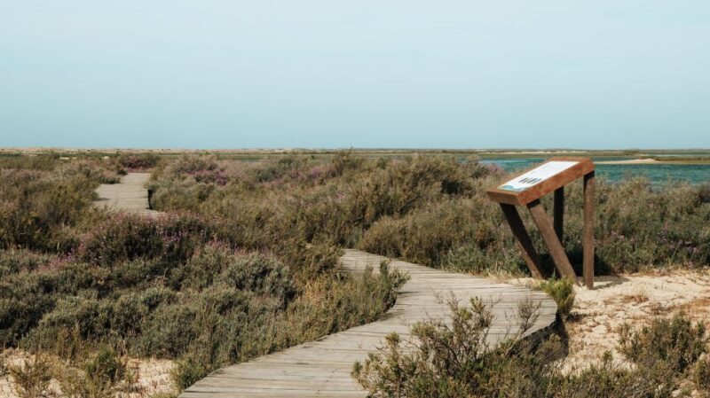 From Faro: Catamaran Boat Trip to Deserta Island with Stop - Final Thoughts