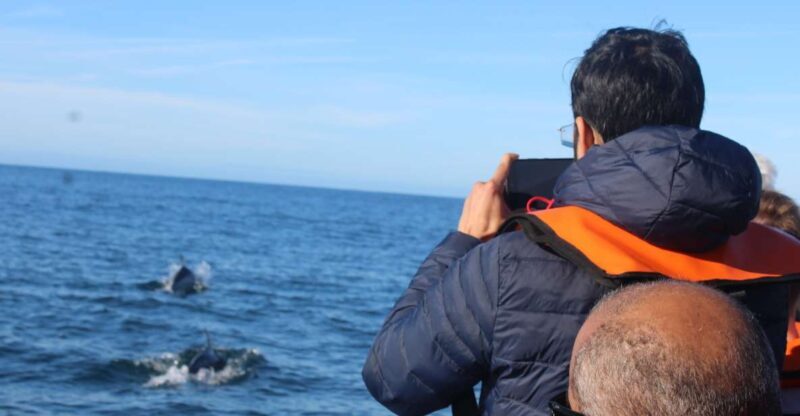 From Faro: Dolphin Watching & 2 Islands Tour - The Experience: What You Can Expect on the Tour