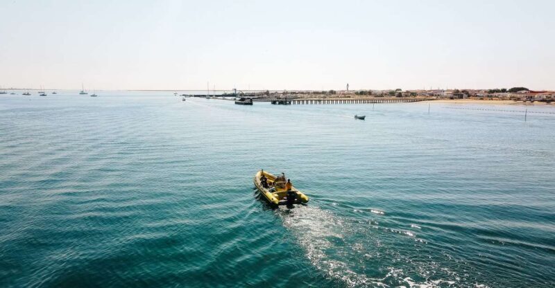 From Faro: Ria Formosa Hop-On Hop-Off 3 Islands Cruise - Key Points