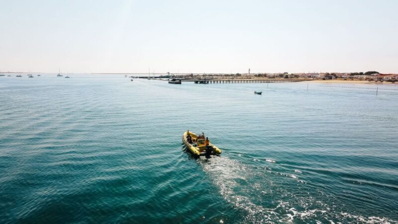 From Faro: Ria Formosa Hop-On Hop-Off 3 Islands Cruise - What to Expect: A Day In and Out of the Water