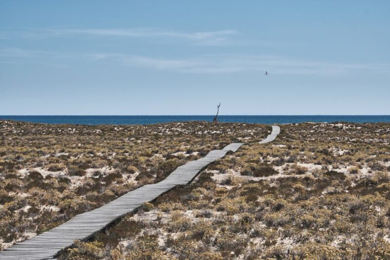 From Faro: Ria Formosa Hop-On Hop-Off 3 Islands Cruise - Who Is This Tour Best For?