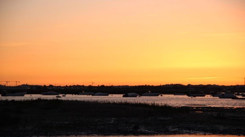 From Faro: Ria Formosa Sunset Boat Trip - From Faro: Ria Formosa Sunset Boat Trip — A Truly Memorable Experience