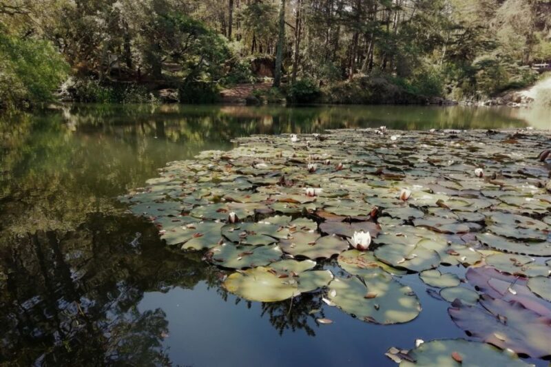 From Fátima: Sintra, Lisbon, and Cascais Private Tour - Cascais: Seaside Charm and Ocean Views