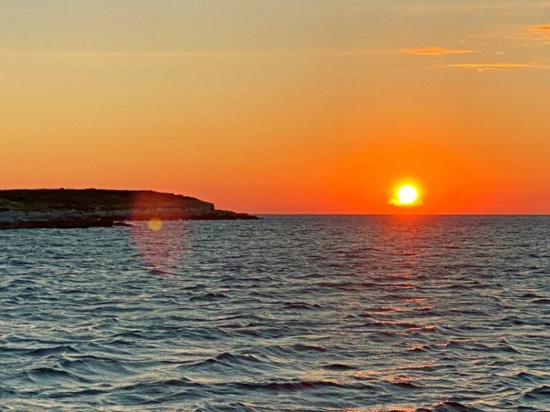 From Fazana: Private Dolphin search & Sunset cruise - The Sum Up