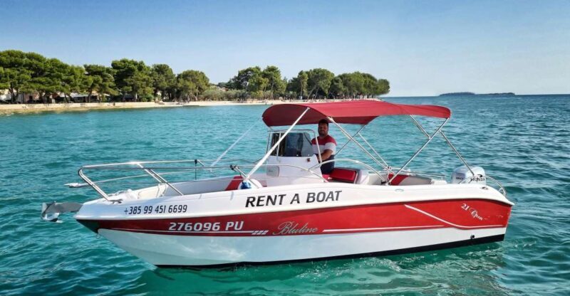 From Fazana: Private sunset dolphin tour - What to Expect from This Sunset Dolphin Tour