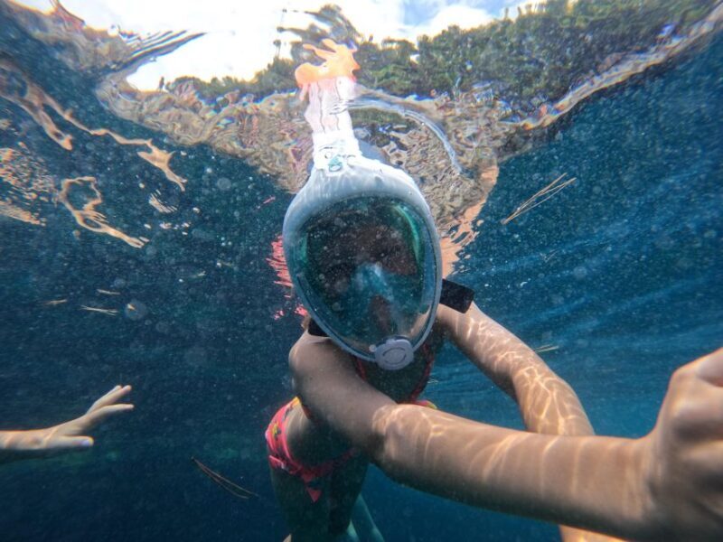 From Fazana: Rovinj full day Private boat tour - An Inside Look at the Rovinj Private Boat Tour
