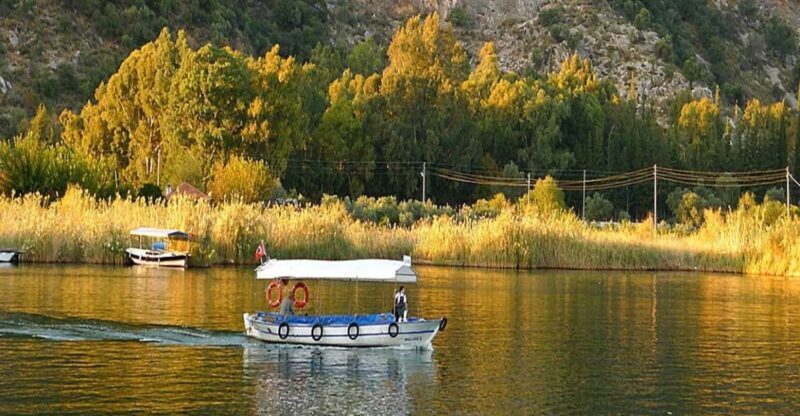 From Fethiye: Dalyan Day Trip with Mud Bath and Turtle Beach - Key Points