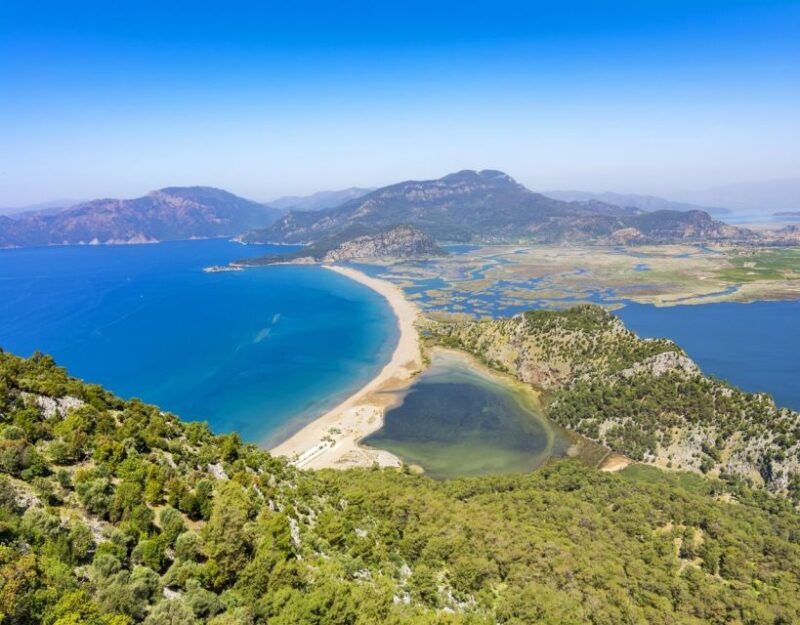 From Fethiye: Dalyan Day Trip with Mud Bath and Turtle Beach - Authentic Experiences and Review Highlights
