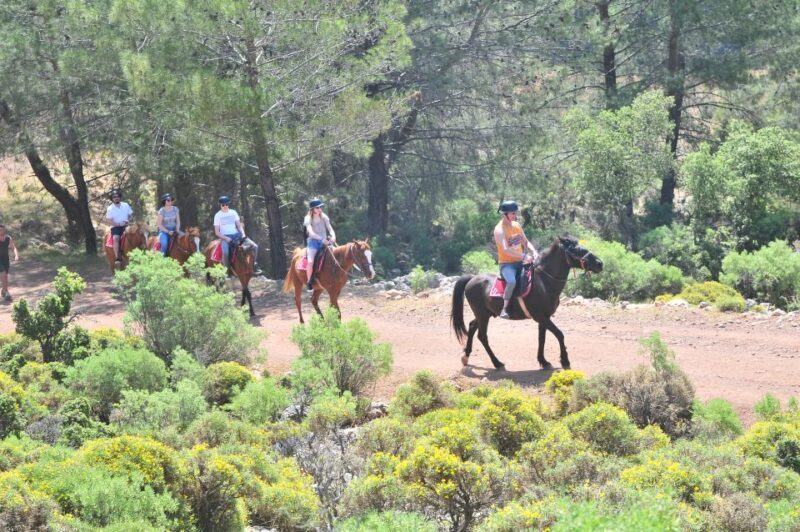 From Fethiye: Horse Riding Adventure - The Itinerary: What You Can Expect from Start to Finish