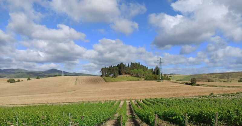 From Florence: Chianti afternoon tour & visit to 2 wineries - Key Points