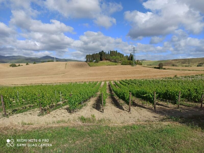From Florence: Chianti afternoon tour & visit to 2 wineries - Exploring the Authentic Heart of Tuscany