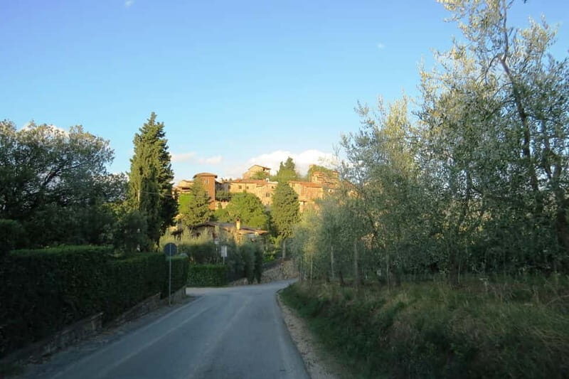 From Florence: Chianti E-Bike Tour with Organic Farm Lunch - A Balanced Look at the Experience
