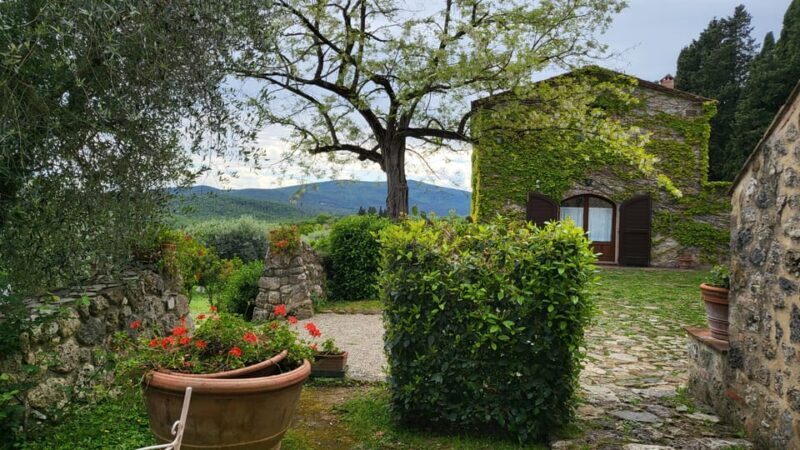 From Florence: Chianti Half-Day Afternoon Tour - Key Points
