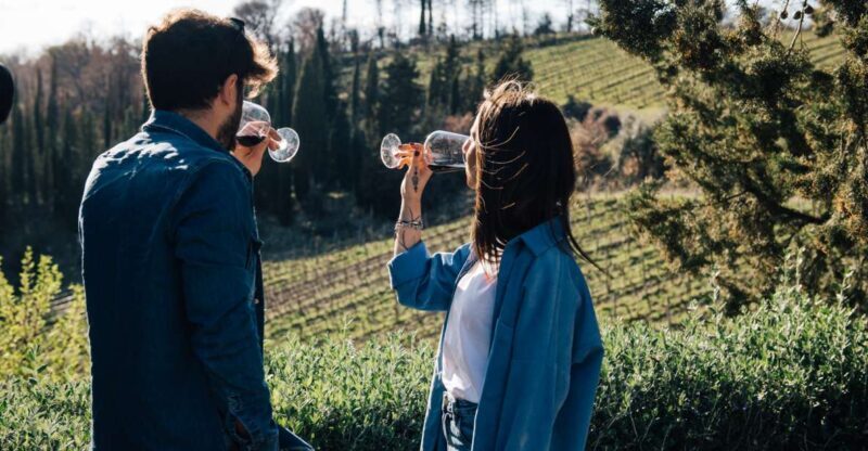 From Florence: Chianti Hills Half-Day Tour with Wine Tasting - Key Points