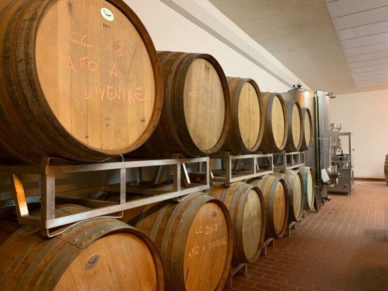 From Florence: Chianti Hills Half-Day Tour with Wine Tasting - Who Should Consider This Tour?