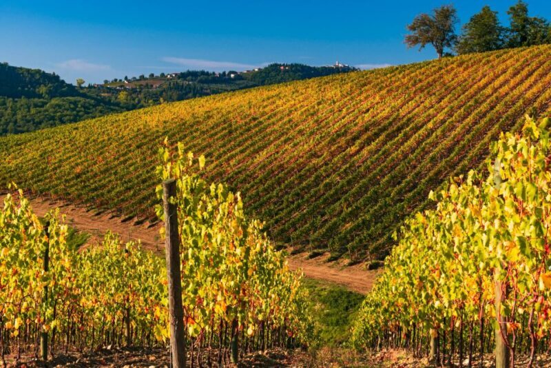 From Florence: Chianti Hills Half-Day Tour with Wine Tasting - Final Words