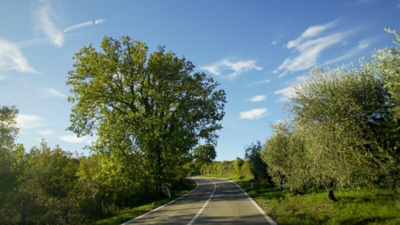 From Florence: Chianti, Montalcino & Montepulciano - Minivan - The Itinerary in Detail: What You Can Expect