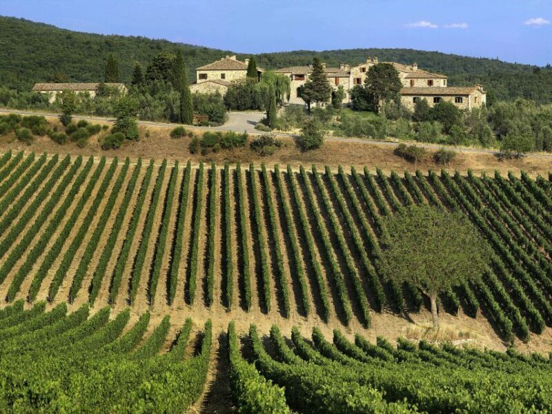 From Florence: Chianti, Montalcino & Montepulciano - Minivan - Price & Overall Value
