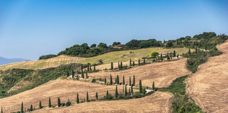 From Florence: Chianti, Montalcino & Montepulciano - Minivan - FAQs
