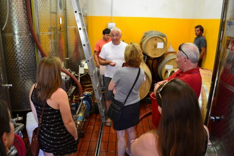 From Florence: Chianti Winery Tour with Lunch - Who Will Love This Tour?