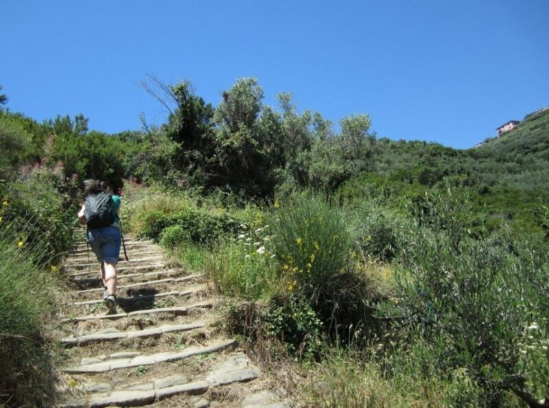 From Florence: Day Trip to Cinque Terre - The Journey from Florence to Cinque Terre