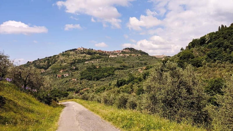 From Florence: Medieval Village & Leonardo DaVinci Tour - Final Thoughts