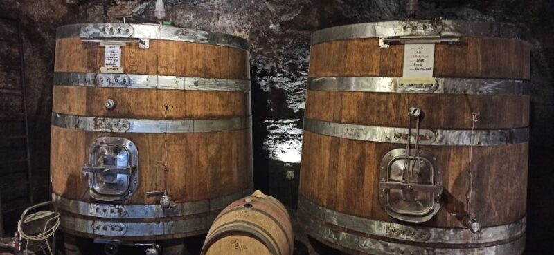 From Florence: Pisa/Chianti Half Day Tour with Wine Tasting - Key Points
