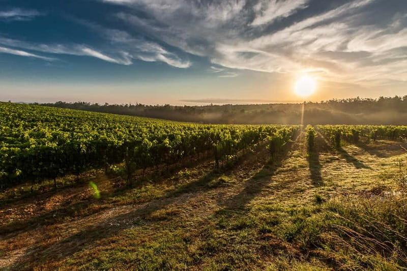 From Florence: Pisa, Siena San Gimignano Private Tour - The Sum Up