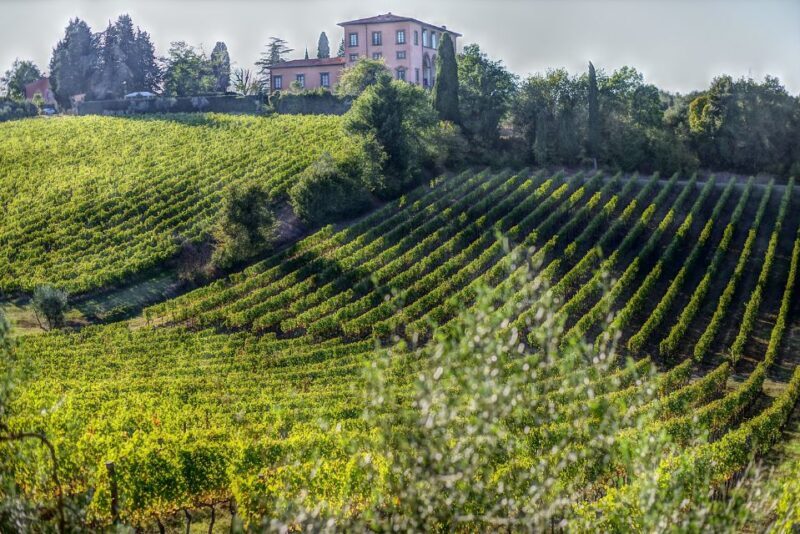 From Florence: PRIVATE Wine Experience in Chianti Classico - Key Points